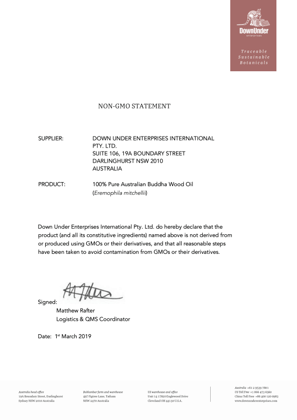 Blue Cypress | Down Under Enterprises